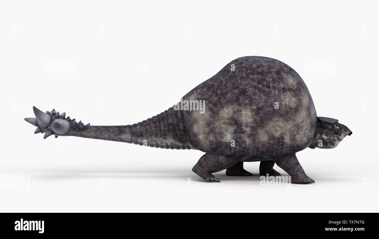 Doedicurus hi-res stock photography and images - Alamy