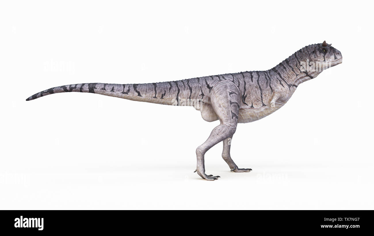 3d rendered illustration of a carnotaurus Stock Photo - Alamy
