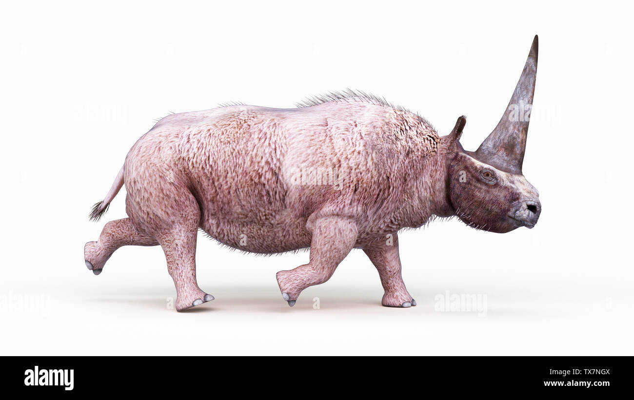 Elasmotherium hi-res stock photography and images - Alamy