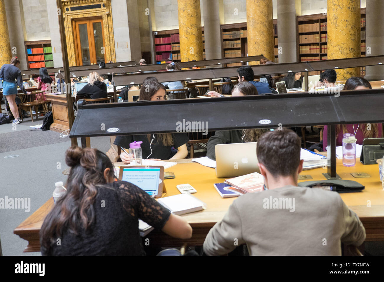 Wolfson reading room hi-res stock photography and images - Alamy