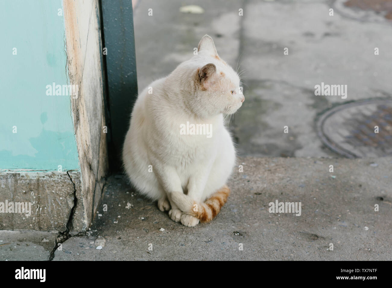 Nanjing Pukou Railway Station Sky Land Winter Sunny Morning Stock Photo ...