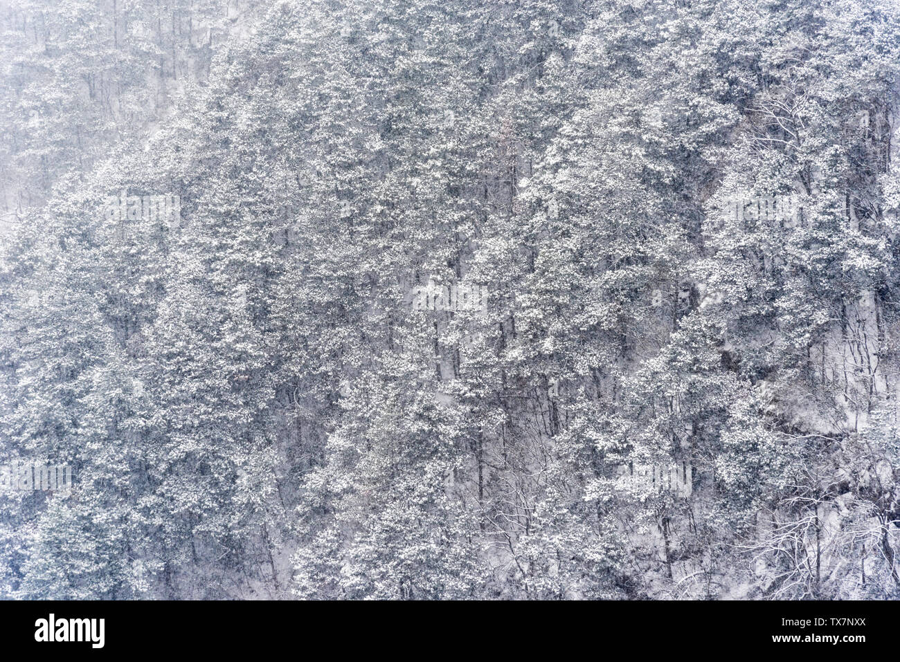 Snow scenery of the beautiful valley of Lushan Stock Photo - Alamy
