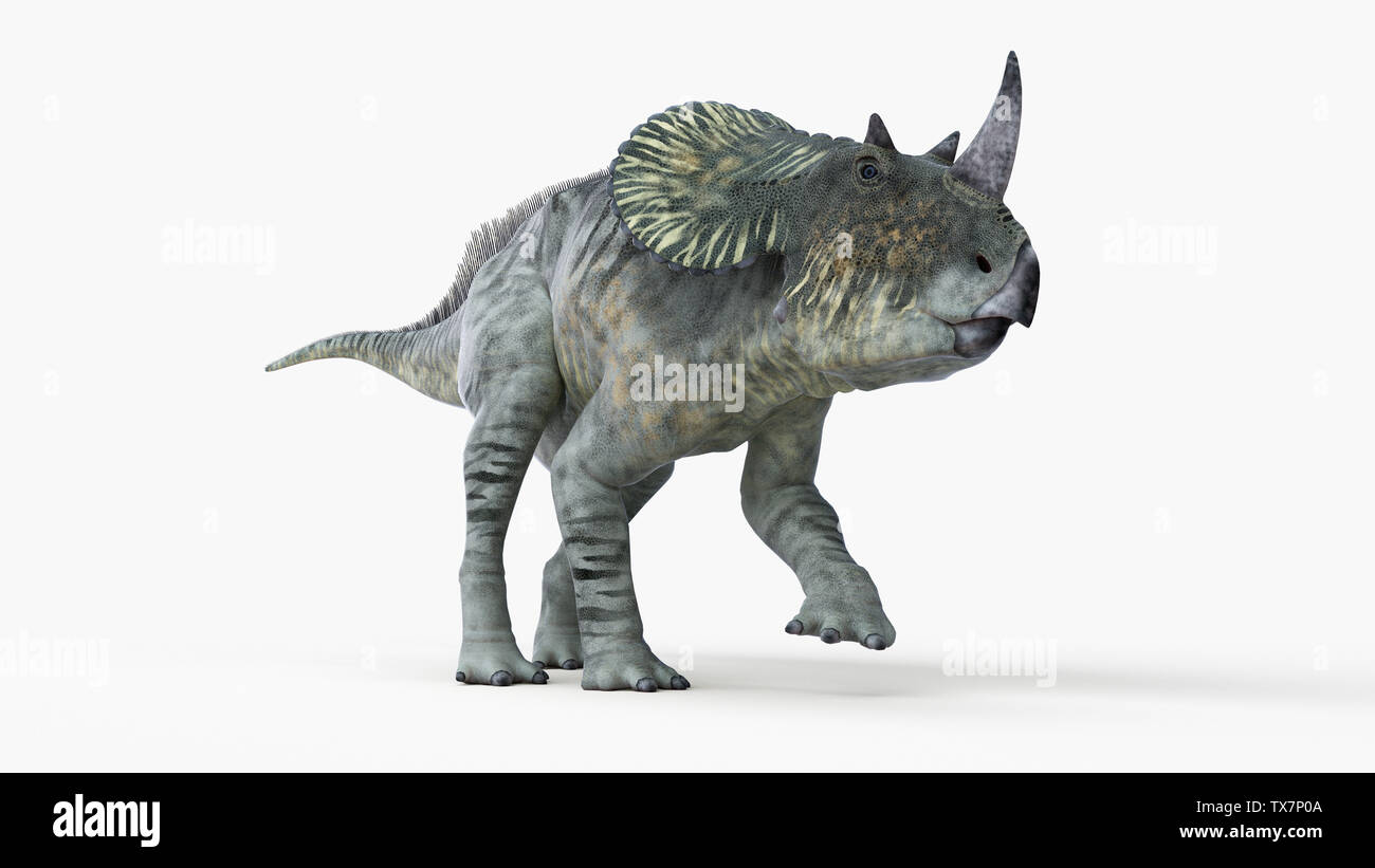 3d rendered illustration of a brachyceratops Stock Photo - Alamy