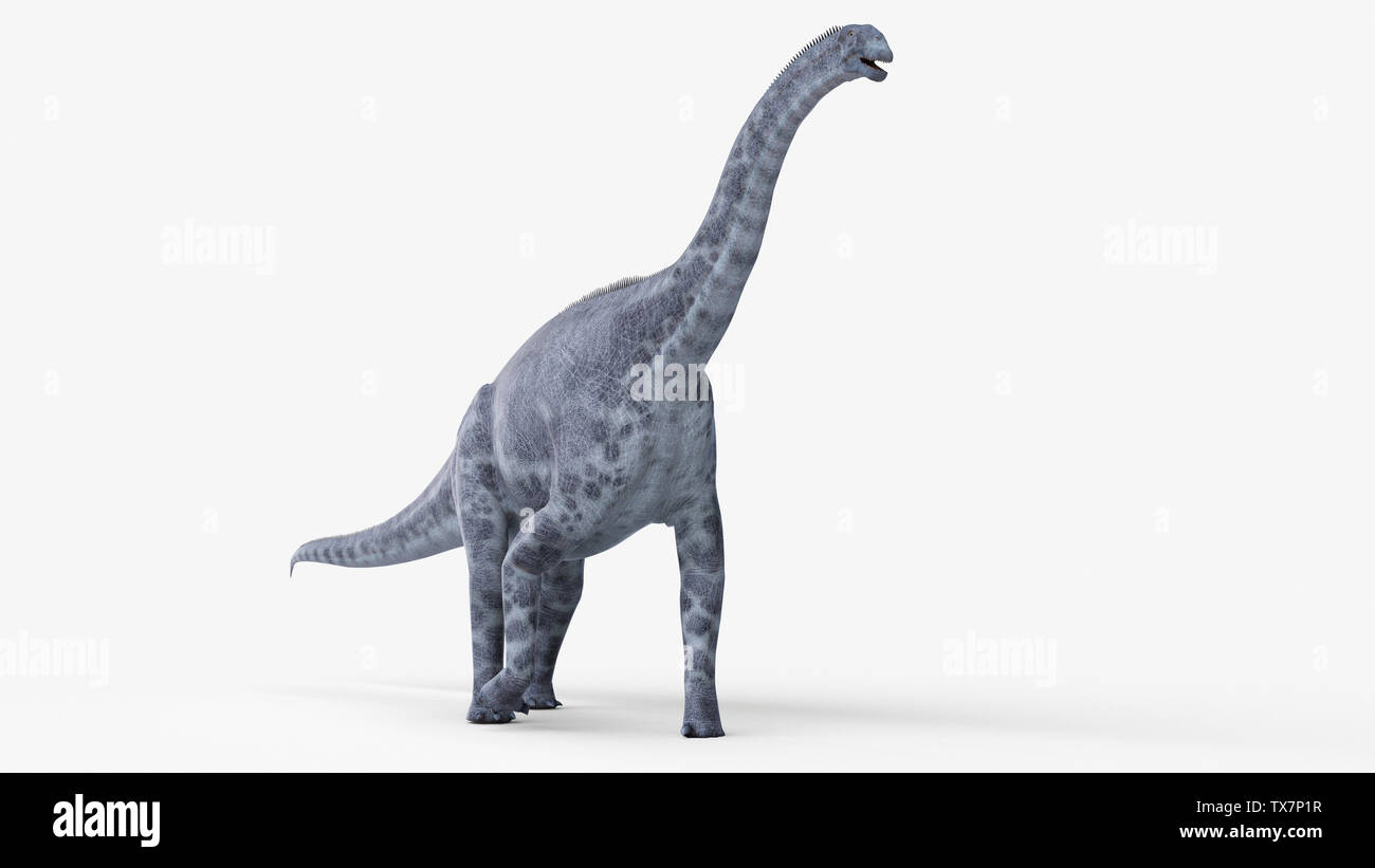 3d rendered illustration of a cetiosaurus Stock Photo - Alamy