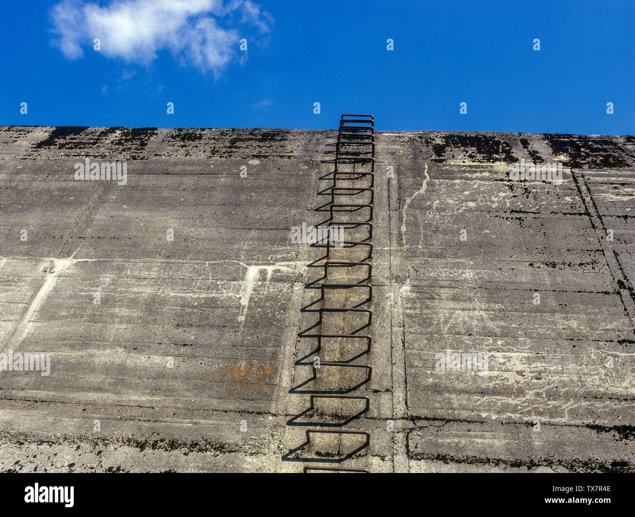 The mamerki museum hi-res stock photography and images - Alamy