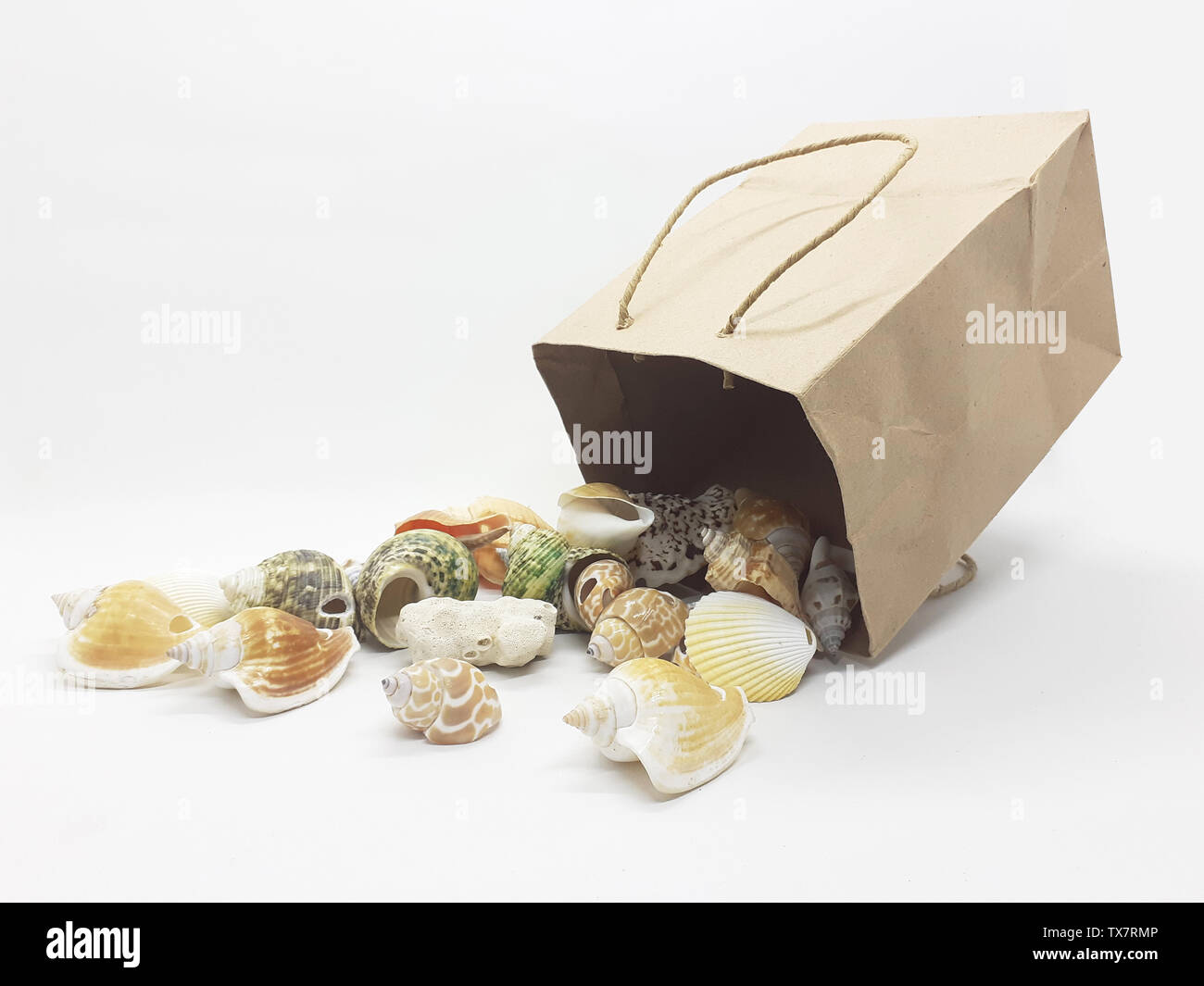 Various small creatures hi-res stock photography and images - Alamy