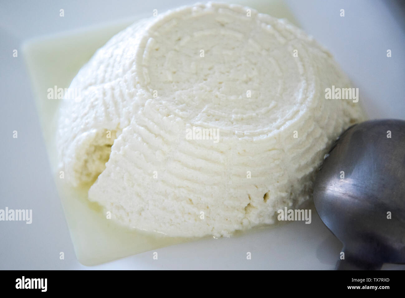 Parmesan cheese making in a small dairy in the Modena hills, fresh ...