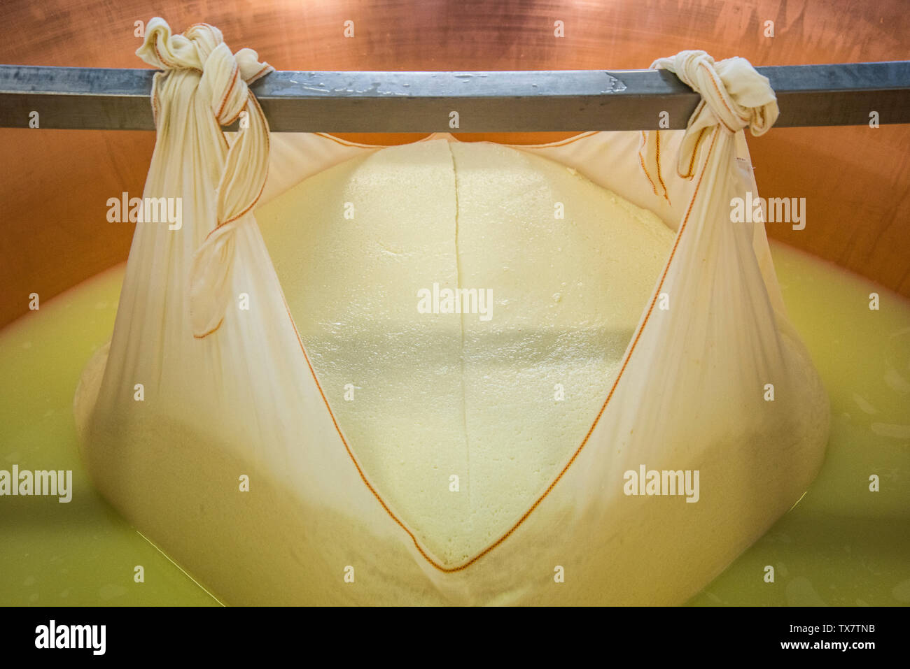 Parmesan cheese making in a small dairy in the Modena hills, cheese ...