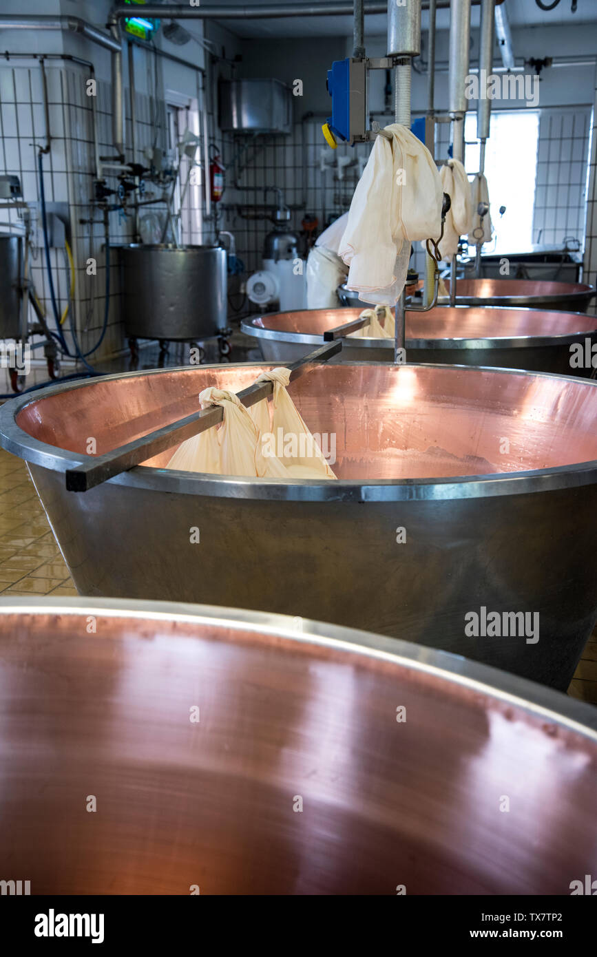 Parmesan cheese making in a small dairy in the Modena hills, the copper ...
