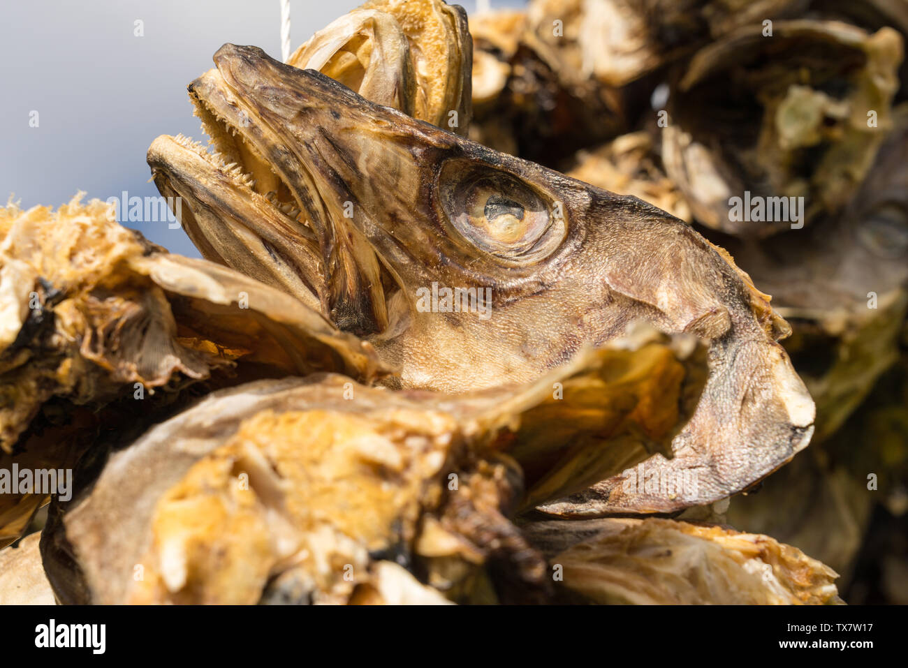 Salt fish heads hi-res stock photography and images - Alamy