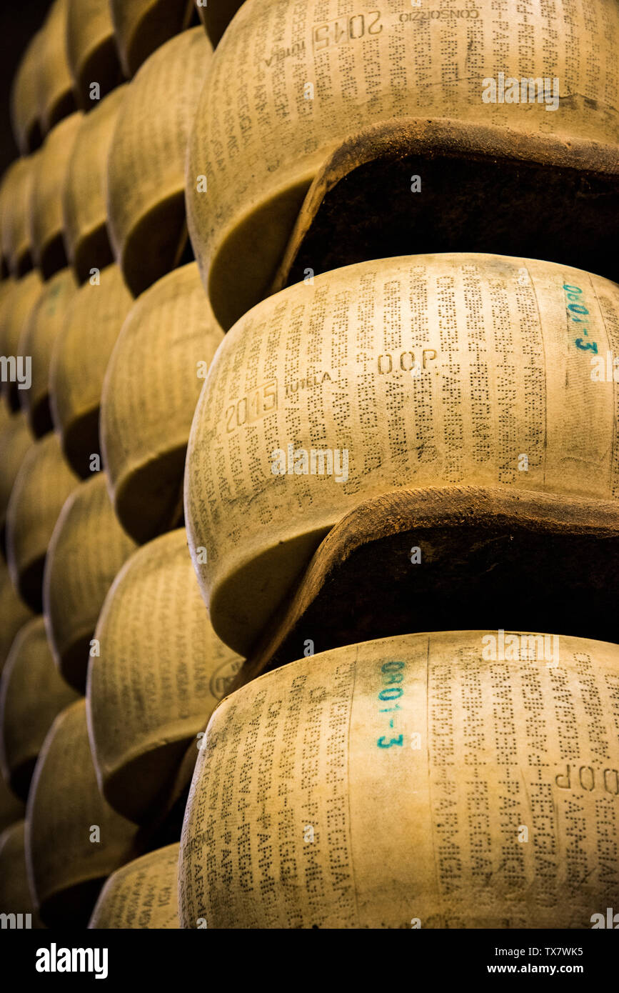 Parmesan cheese making in a small dairy in the Modena hills, large ...