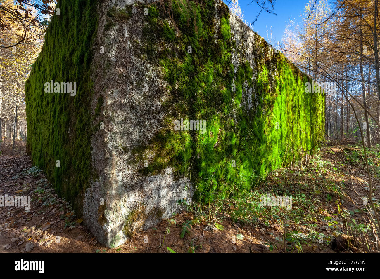The mamerki museum hi-res stock photography and images - Alamy