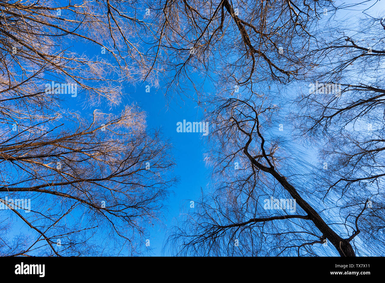The sky above your head Stock Photo - Alamy