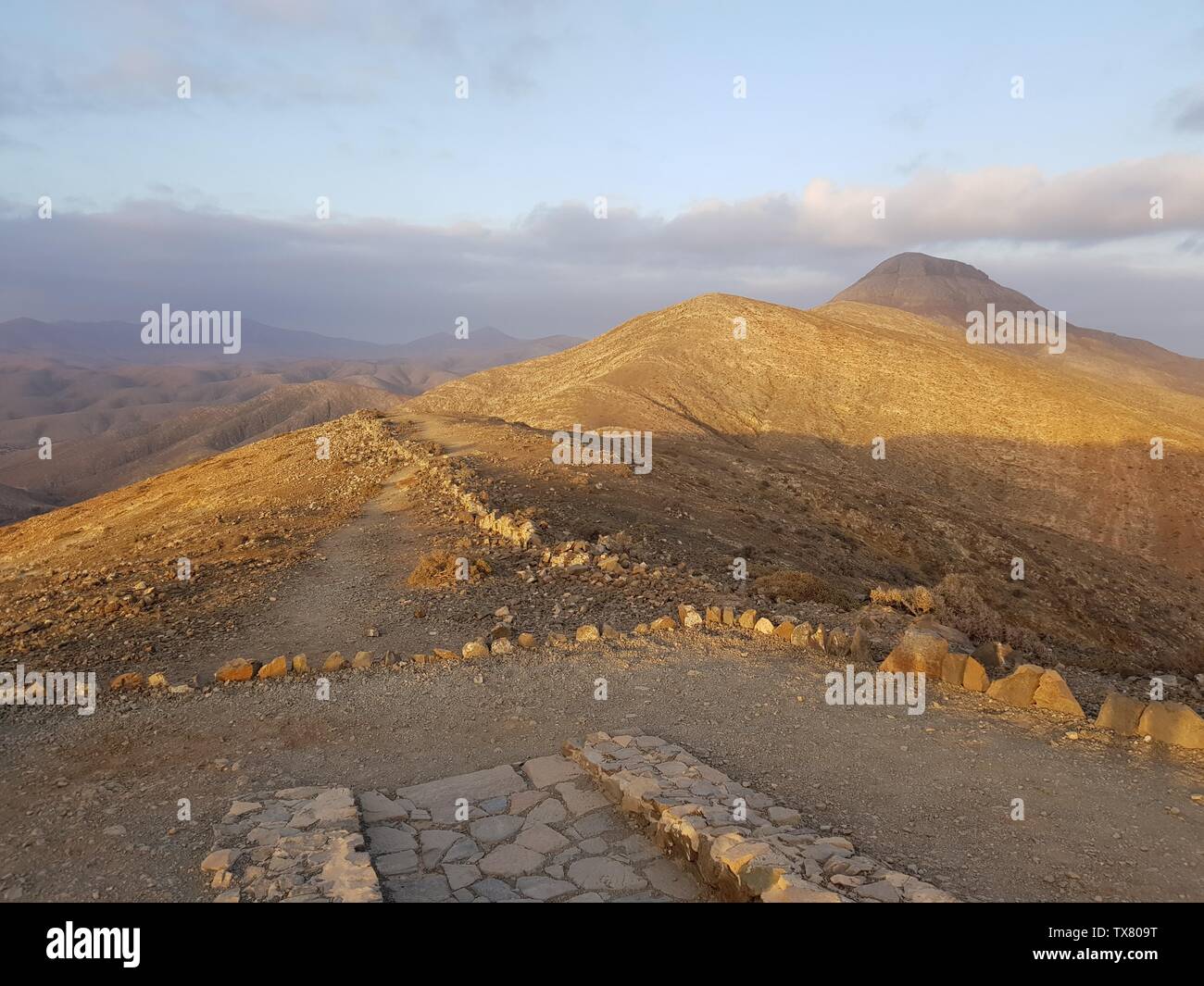 Montana cardon hi-res stock photography and images - Alamy