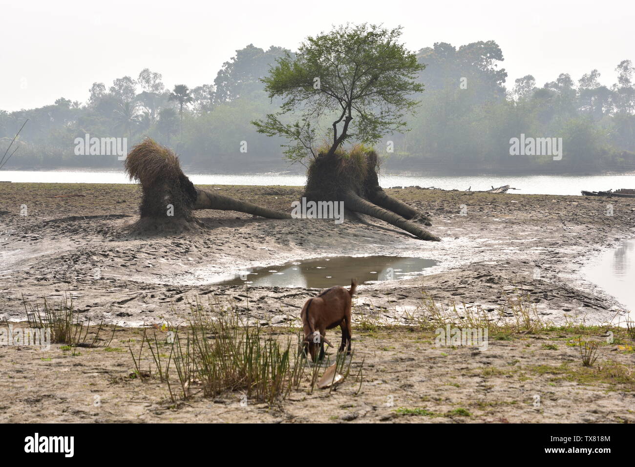Damodar hi-res stock photography and images - Alamy