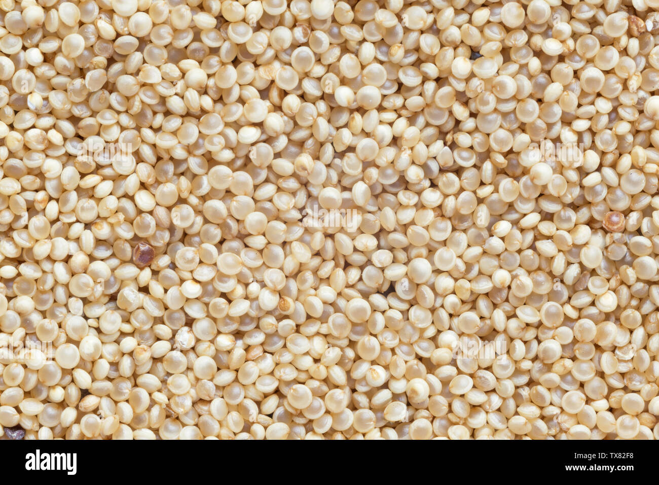 Amaranth seeds hi-res stock photography and images - Alamy