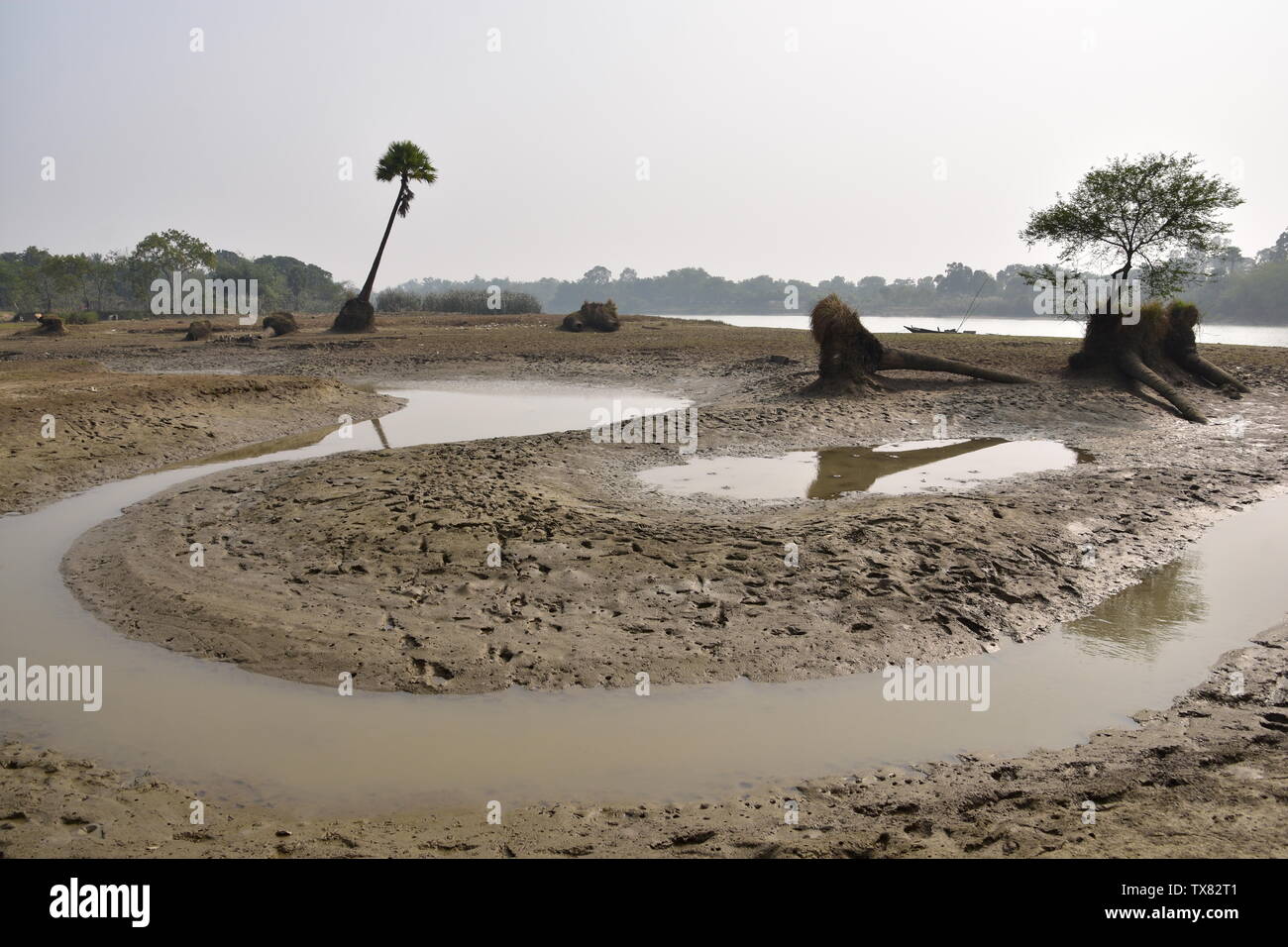 West bengal flood hi-res stock photography and images - Alamy