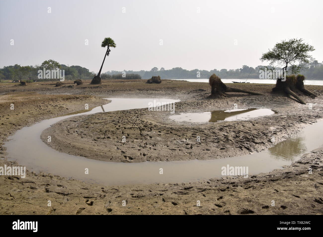 Damodar river, West Bengal, India Stock Photo - Alamy