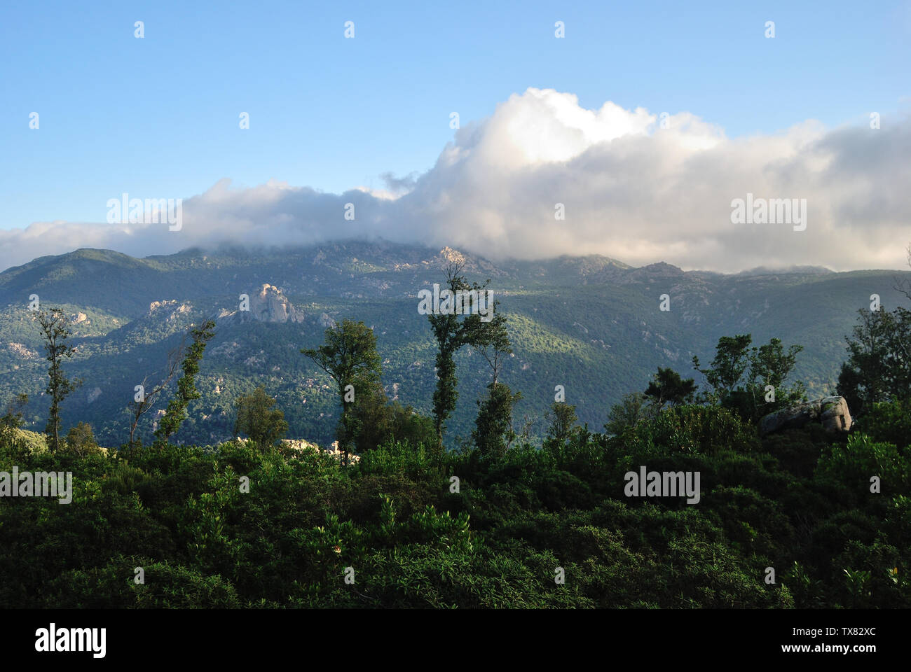 Sette Fratelli High Resolution Stock Photography and Images - Alamy