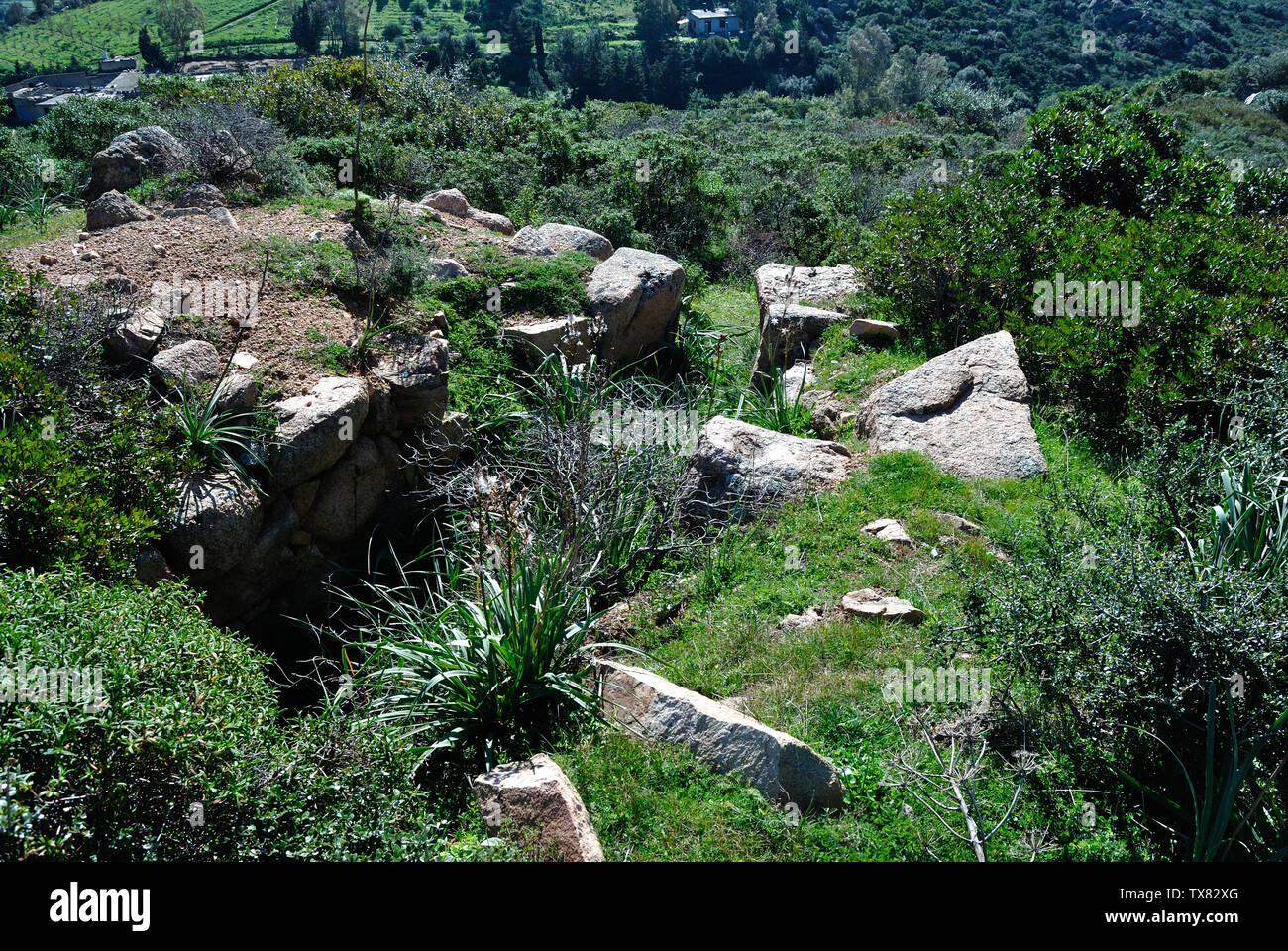 View of Giants Tomb Taulaxia Stock Photo - Alamy