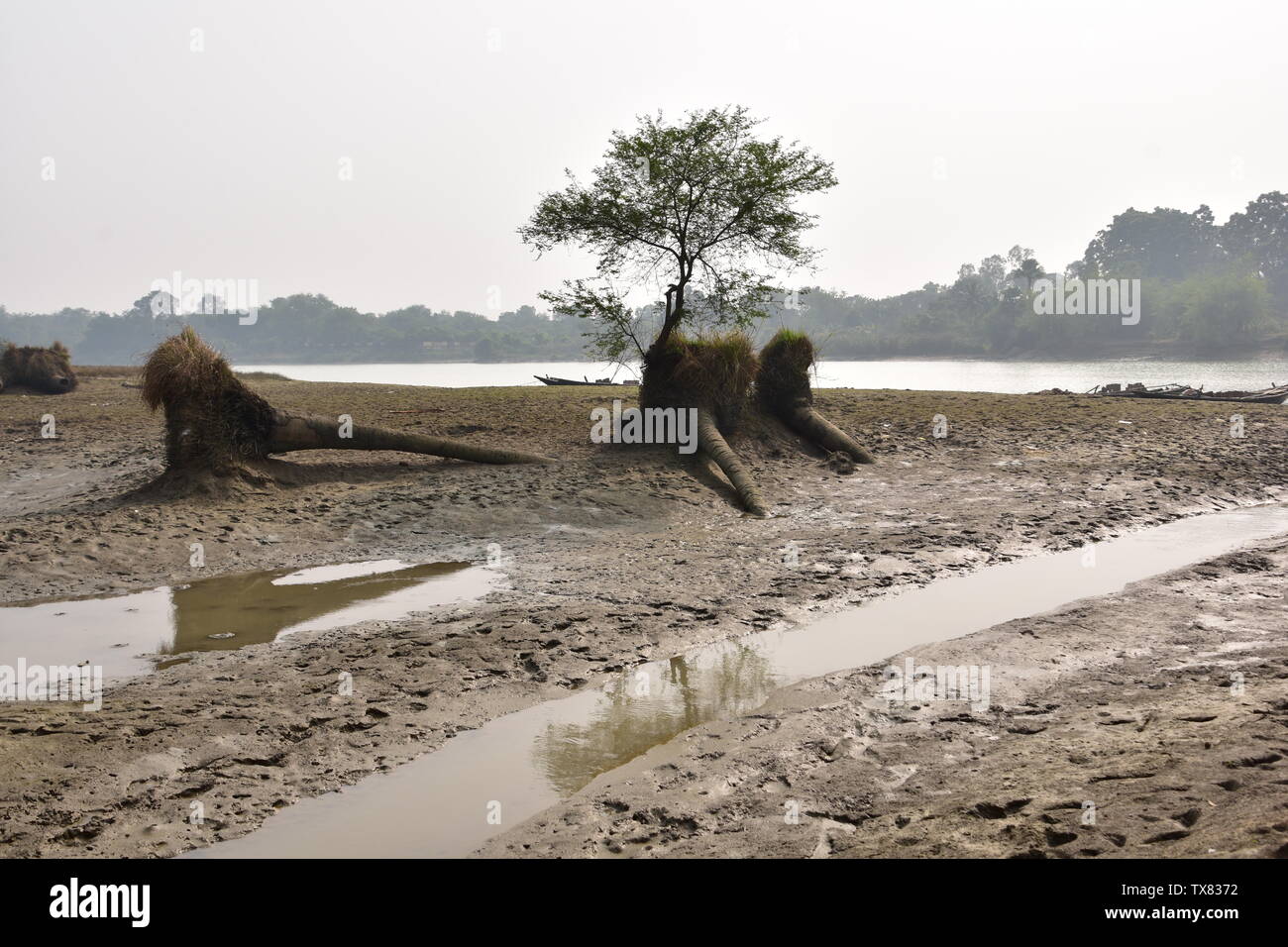 Damodar river, West Bengal, India Stock Photo - Alamy
