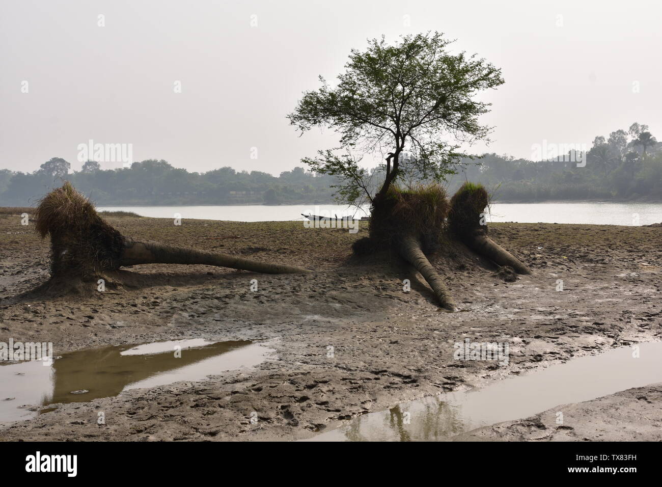 Damodar river, West Bengal, India Stock Photo - Alamy