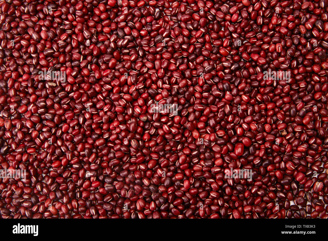 Red acacia beans hi-res stock photography and images - Alamy