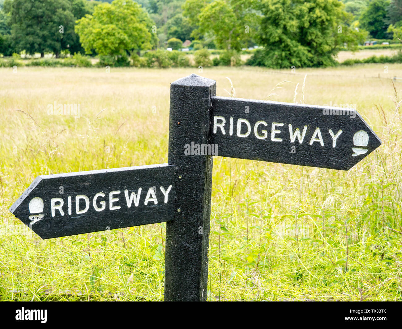 The Ridgeway Path Sign, Streatley, Berkshire, England, UK, GB Stock ...