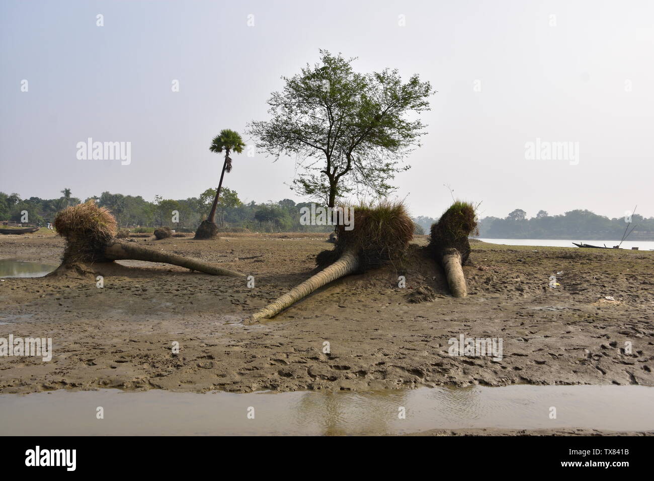Damodar river, West Bengal, India Stock Photo - Alamy