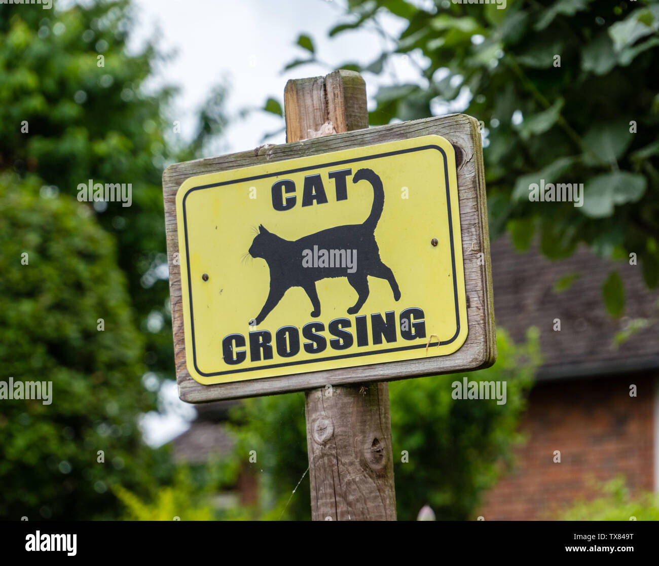 Cat crossing sign hi-res stock photography and images - Alamy
