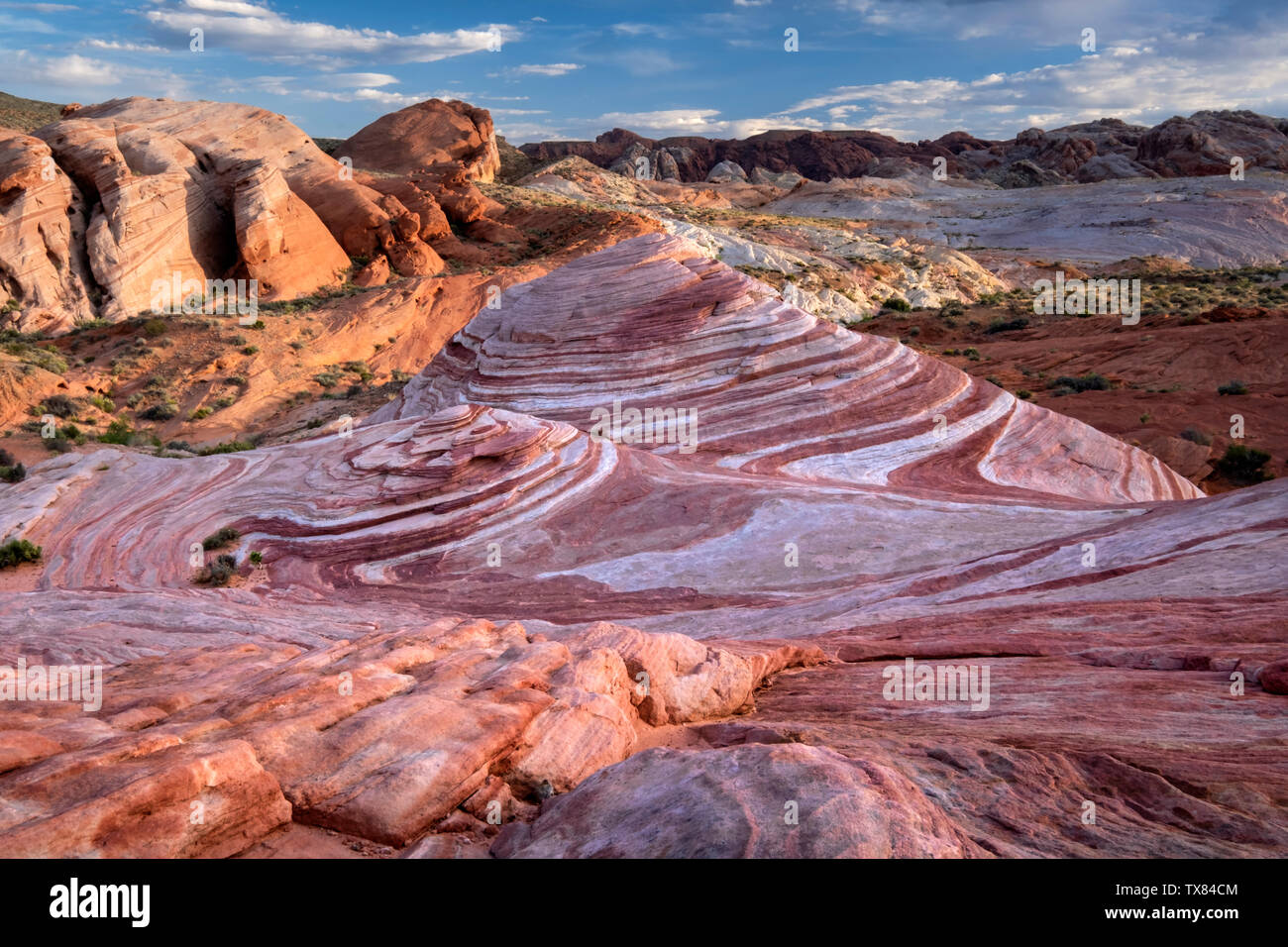 The Fire Wave, Valley of Fire State Park, Nevada, USA Stock Photo - Alamy