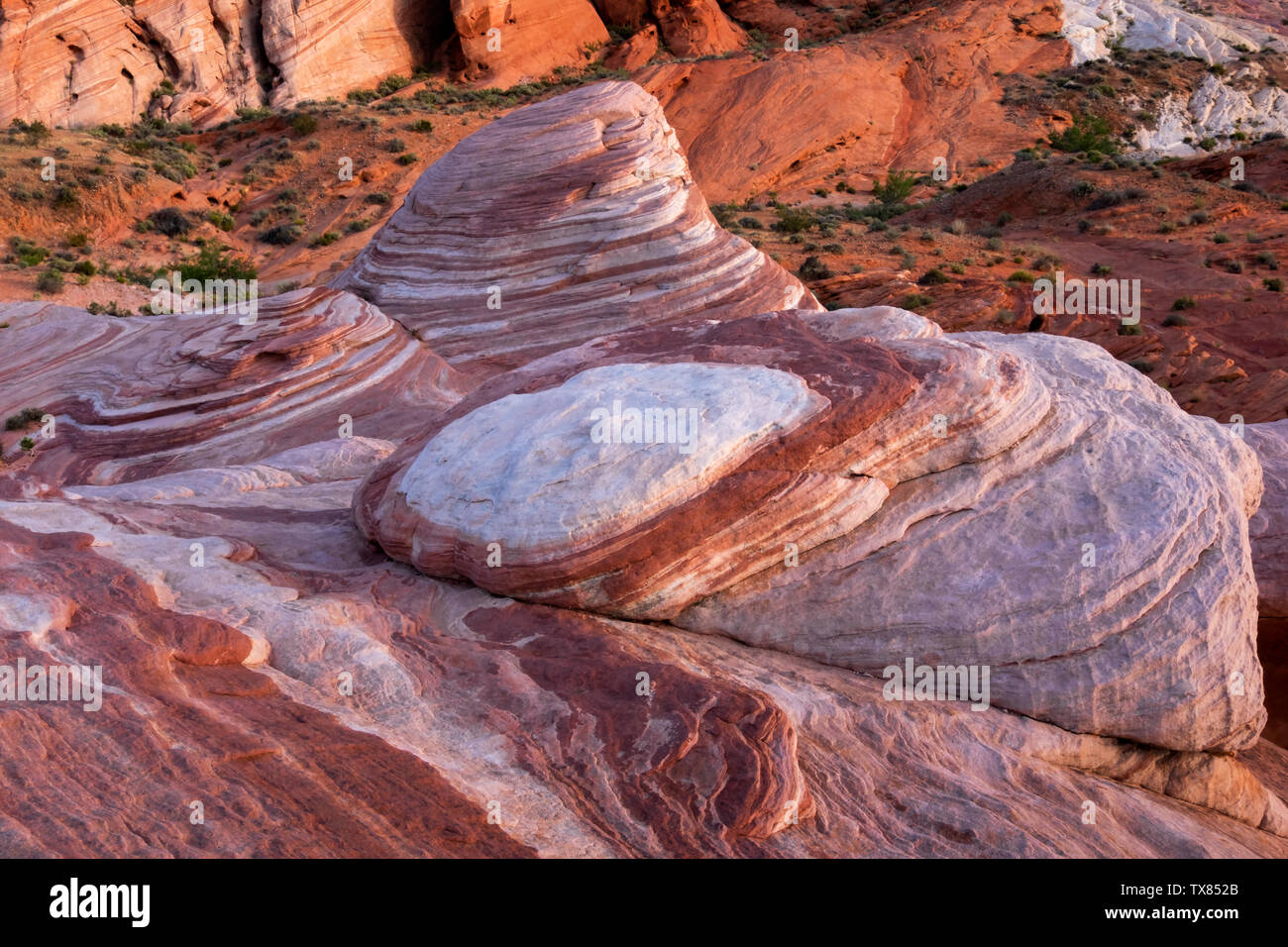 The Fire Wave at sunset, Valley of Fire State Park, Nevada, USA Stock ...