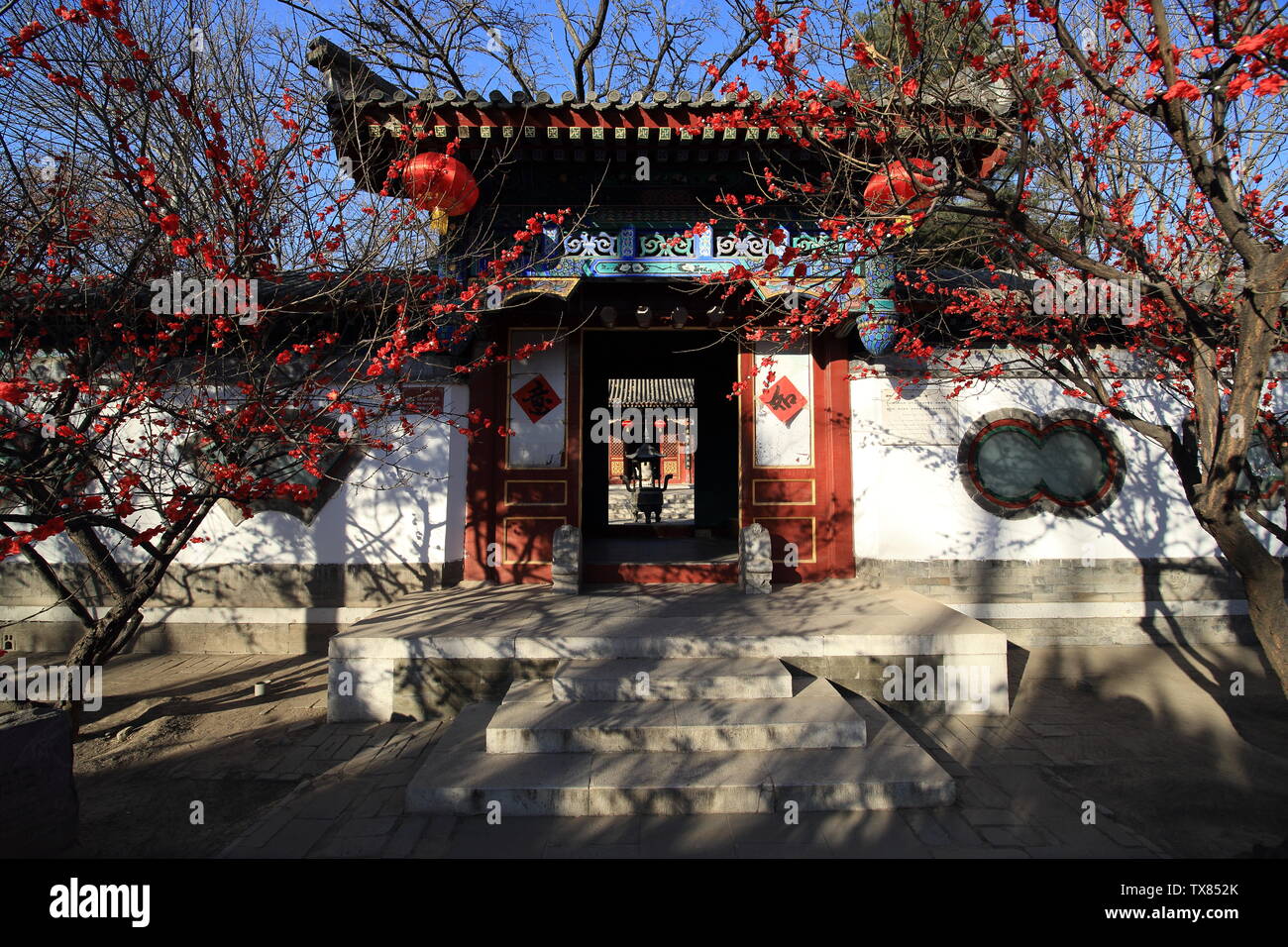 Nine of the Great View Garden of A Dream of Red Mansions: [Xiao Cui'an ...