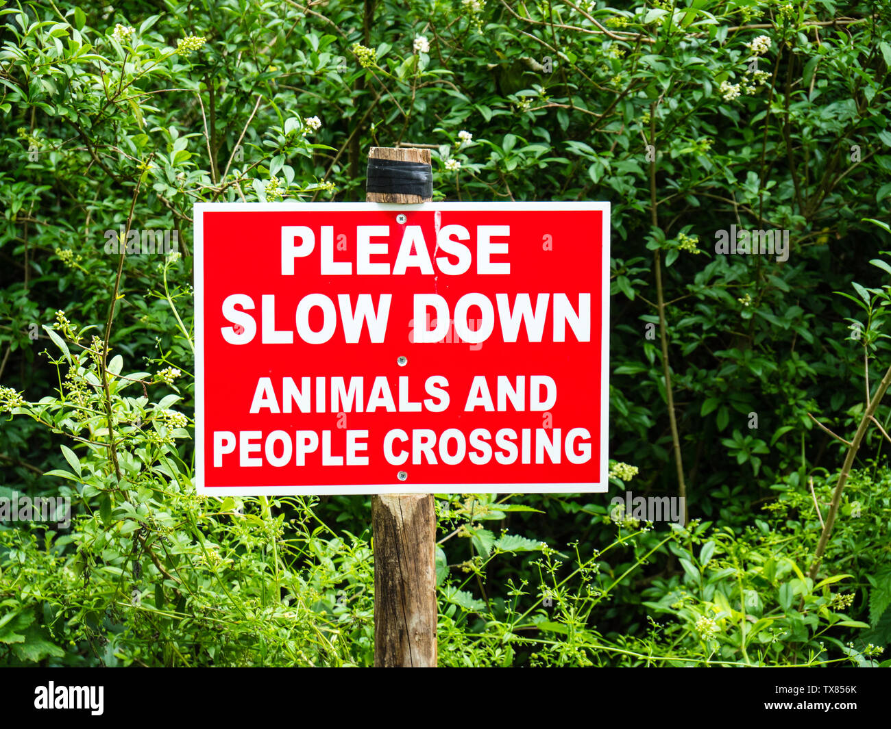 Please slow hi-res stock photography and images - Alamy