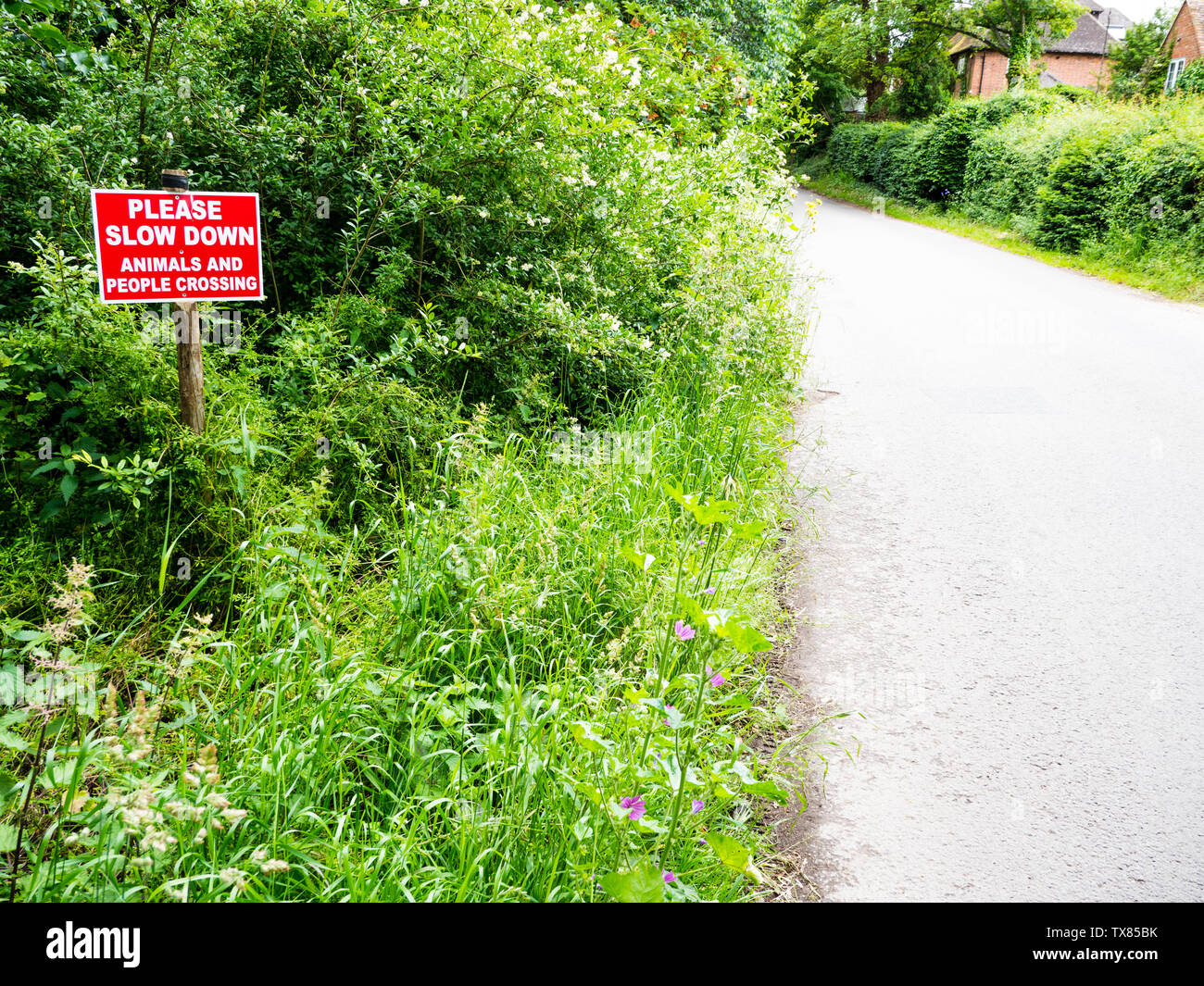 Please slow hi-res stock photography and images - Alamy