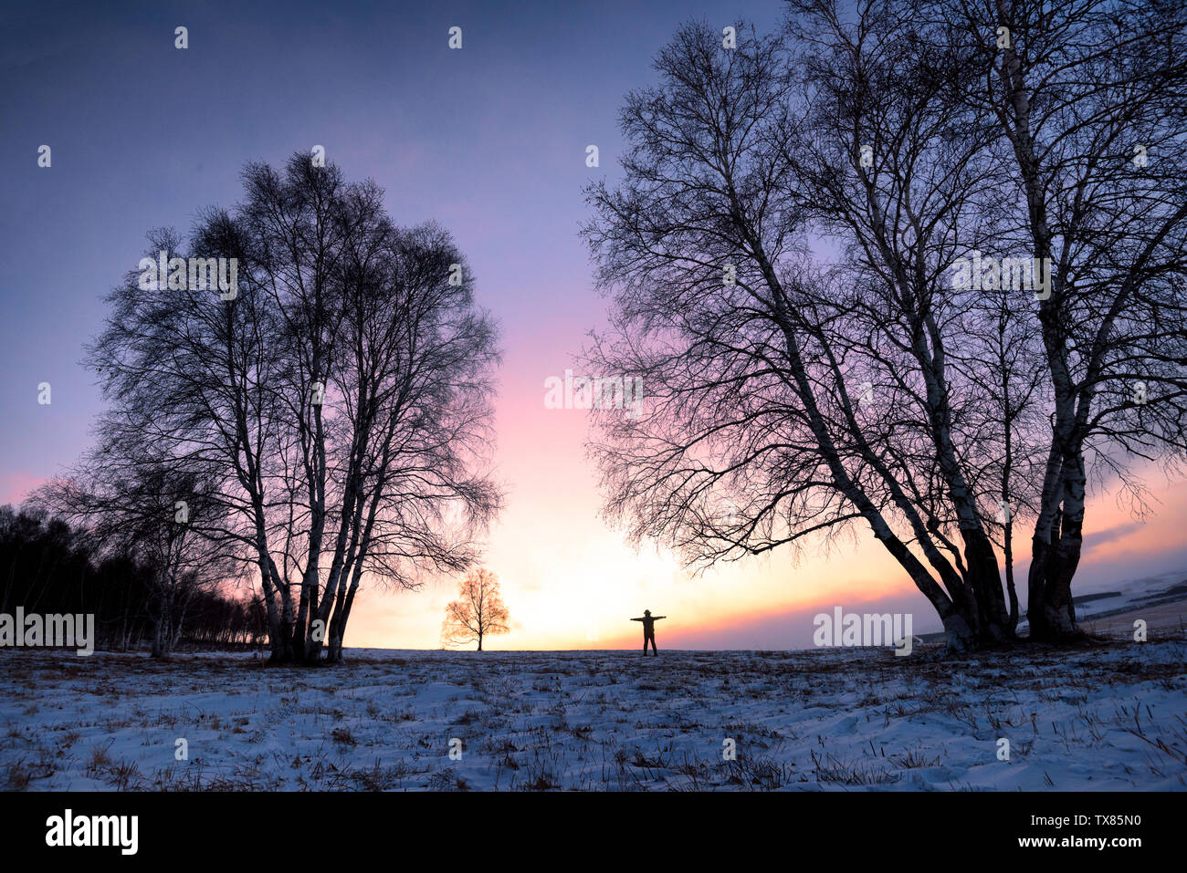 Embrace nature hi-res stock photography and images - Alamy