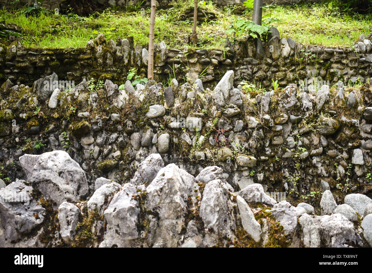 Three overlapping stone grunge walls with lichens and green vegetation ...