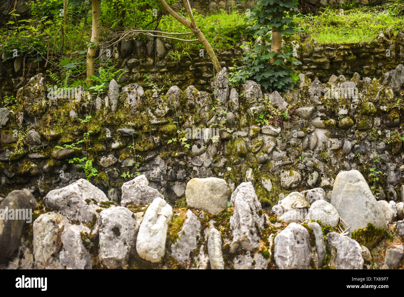 Three overlapping stone grunge walls with lichens and green vegetation ...