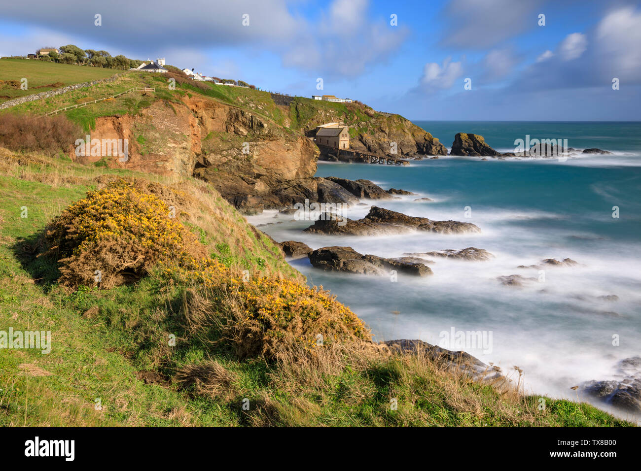 Lighthouse lizard hi-res stock photography and images - Alamy