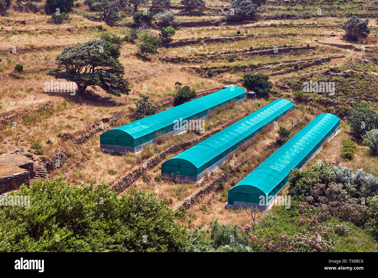 Old Greenhouses High Resolution Stock Photography and Images - Alamy
