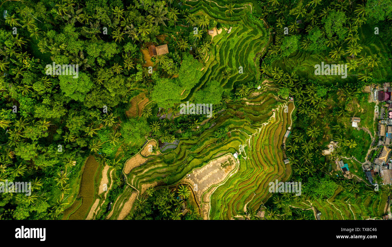 Beautiful rice terraces hi-res stock photography and images - Alamy
