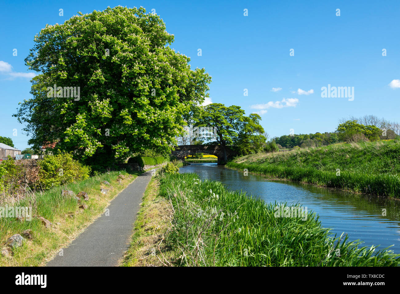 Linlithgow bridge hi-res stock photography and images - Alamy