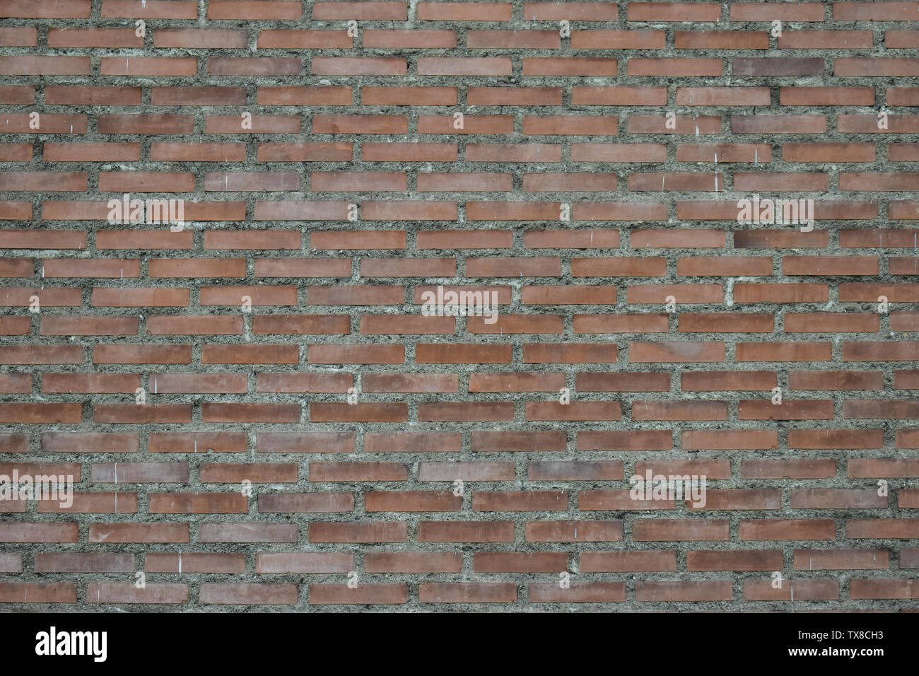 Brick wall inscriptions hi-res stock photography and images - Alamy