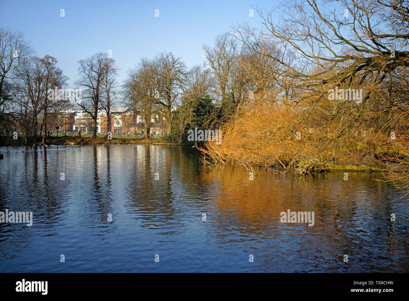 UK, South Yorkshire, Sheffield, Hillsborough Park Lake & Reflections ...