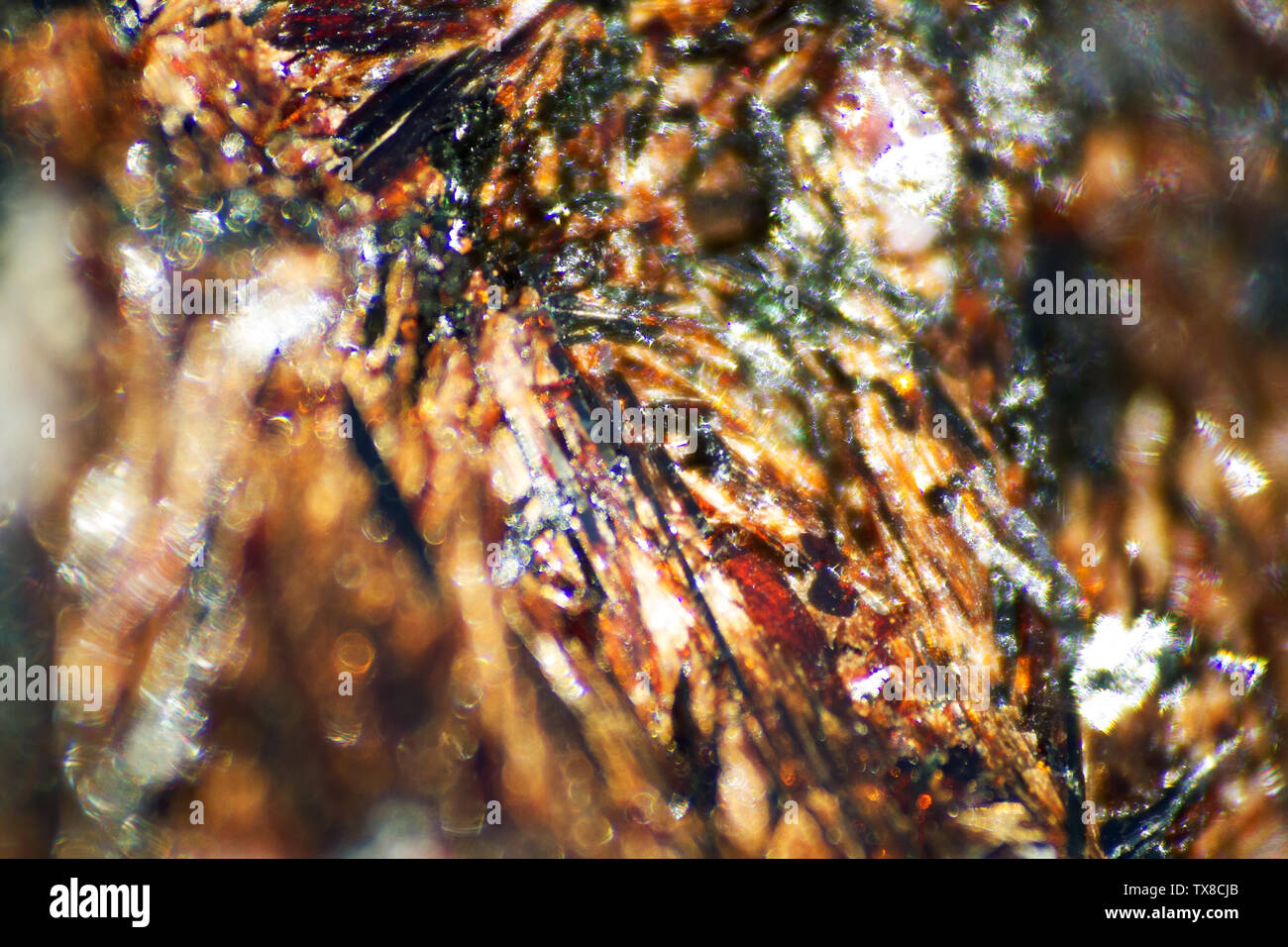 astrophyllite sun closeup mineral in Khibiny mountains. rock formation ...