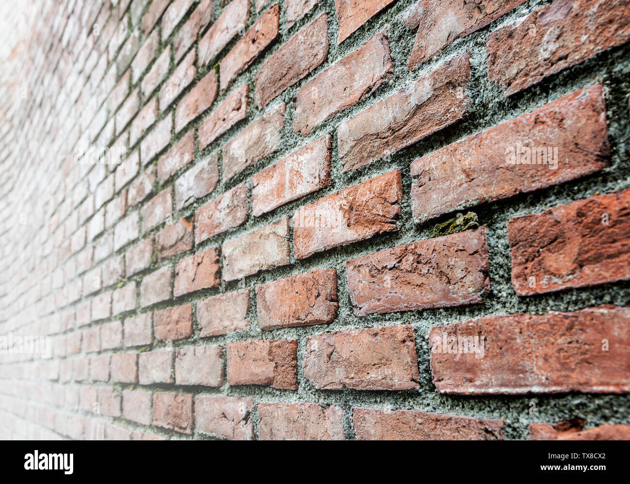 Old brick wall texture with narrow depth of field Stock Photo - Alamy