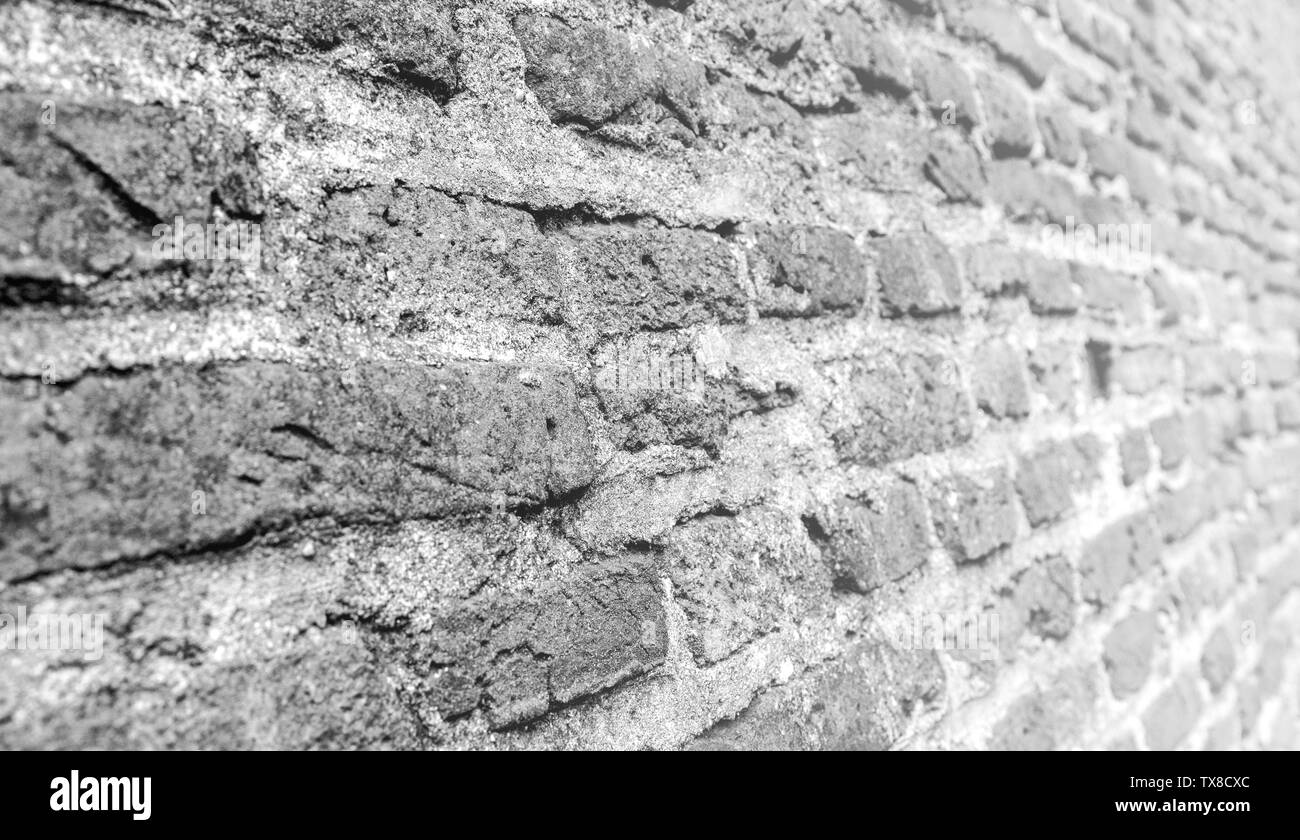 Narrow depth field view hi-res stock photography and images - Alamy