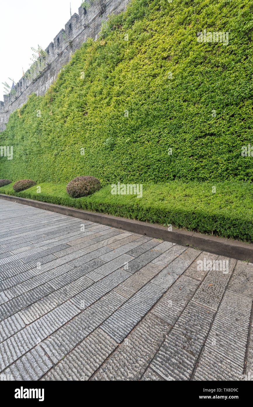 Changsha Autumn Rainy Day Park Meadow Gardening Tree Road Stock Photo ...