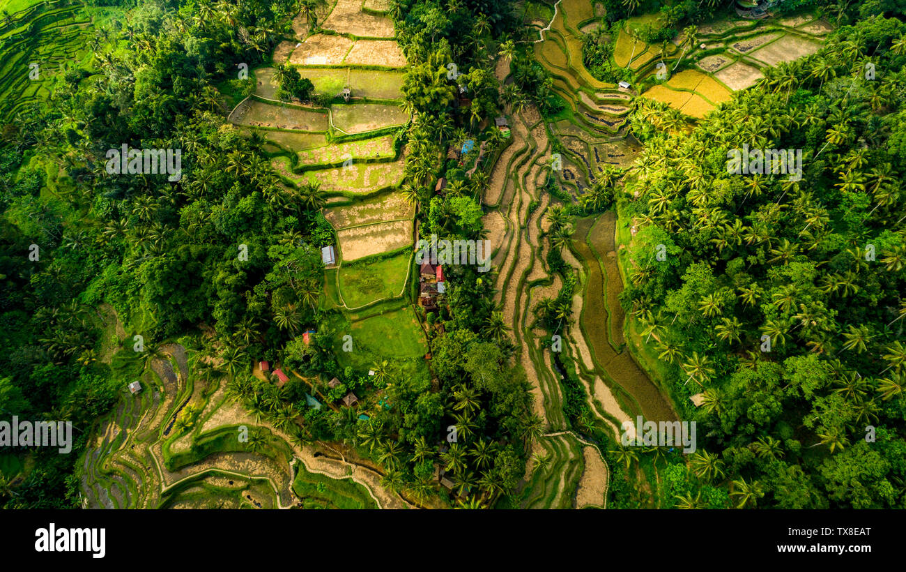 Amazing Landscape Above Rice Terraces Stock Photo - Alamy