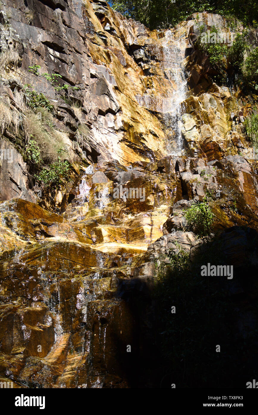 Textures of Brazilian Savanna Stock Photo - Alamy